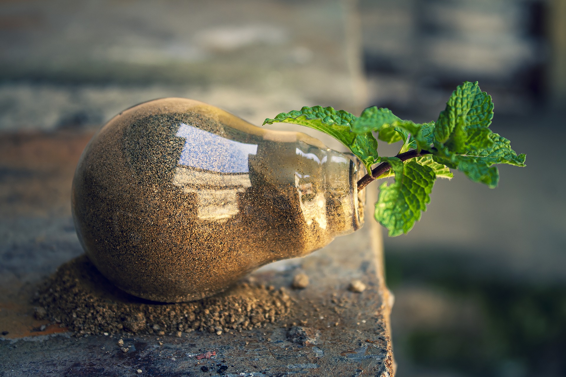 ご質問: テスラ株が上昇する要因について | モノリスホールディングス公式Webサイト